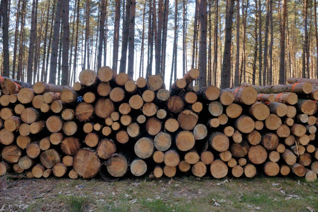 NSW Forestry Industry Road Map - UBEECO Packaging Solutions